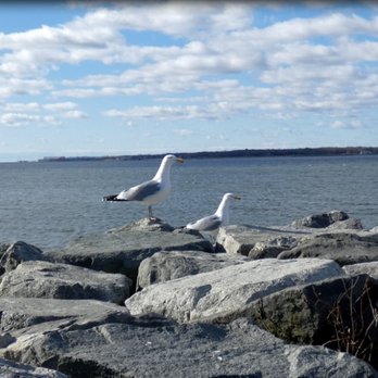 OAKLAND BEACH - Updated September 2025 - 140 Photos & 63 Reviews ...