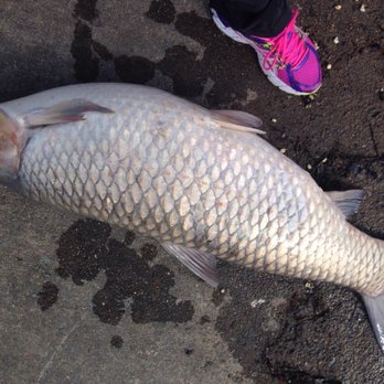 BOB MOATES SPORTS SHOP - Updated January 2026 - 21 Reviews - 10418 Hull ...