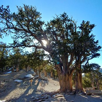 RAINTREE VIA NORTH LOOP - Updated October 2025 - 85 Photos & 10 Reviews ...