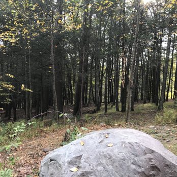 CRANBERRY RUN CAMPGROUND - Updated December 2025 - 16 Photos & 27 ...