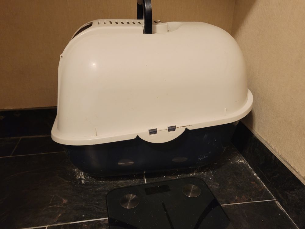 BLT CLEANING SERVICE - Updated December 2025 - 143 Photos & 594 Reviews ...