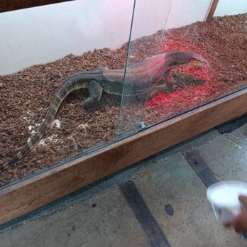 EAST BAY VIVARIUM - Updated July 2025 - 711 Photos & 609 Reviews - 1827 ...