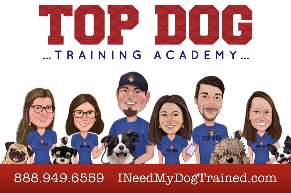 TOP DOG TRAINING ACADEMY OF LOUISIANA - Updated October 2025 - Ponchatoula, Louisiana - Pet ...