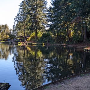 PROGRESS LAKE - Updated August 2024 - 15707 SW Walker Rd, Beaverton ...