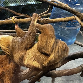 CAPRON PARK ZOO - Updated December 2025 - 223 Photos & 98 Reviews - 201 ...