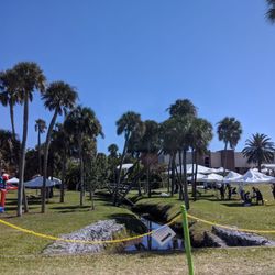 FLORIDA INSTITUTE OF TECHNOLOGY - 20 Photos - 150 W University Blvd ...