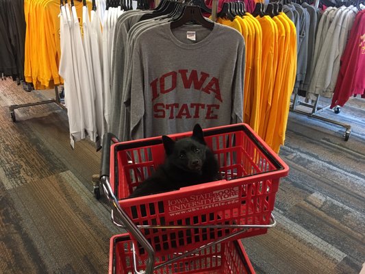 IOWA STATE UNIVERSITY BOOK STORE - Updated January 2026 - 11 Reviews ...