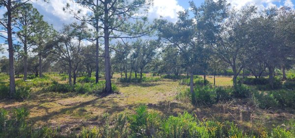 LIGHTSEY FAMILY RANCH - Updated October 2025 - 25 Photos - 545 New Boot ...