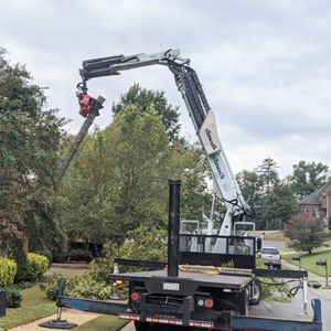 ACE TREE SERVICE - Updated July 2025 - 22 Photos & 23 Reviews - 4213 ...