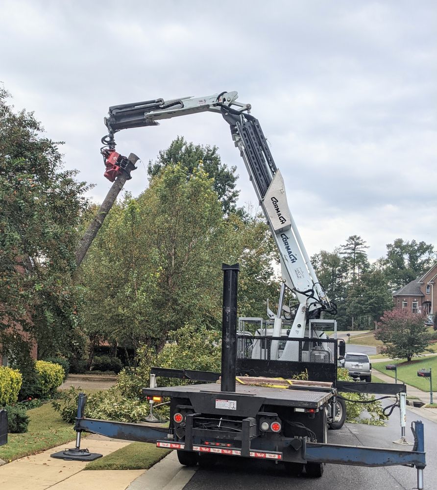 PRECISION TREE SERVICE - Updated July 2025 - 15 Reviews - Vestavia ...