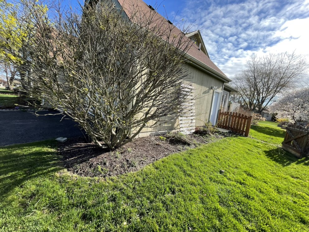 LB LANDSCAPING - Updated June 2025 - West Chicago, Illinois ...