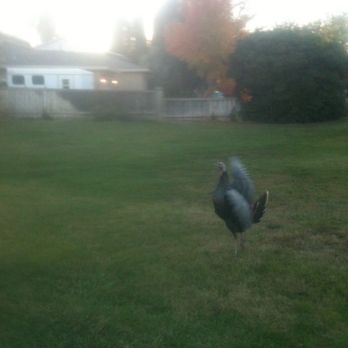 CITY OF DAVIS - Updated January 2026 - 273 Photos - 23 Russell Blvd ...