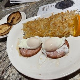 ATLANTIS PURPLE PARROT - Updated December 2025 - 497 Photos & 316 ...