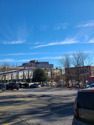 GREYHOUND BUS LINES - Updated December 2025 - 97 Photos & 206 Reviews ...