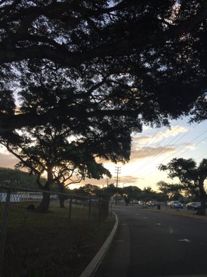 KALANI HIGH SCHOOL - Updated December 2025 - 35 Photos & 10 Reviews ...