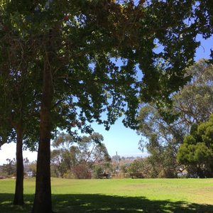 OCEAN VIEW PARK - 43 Photos & 36 Reviews - 102 Ocean View Ave, Santa ...