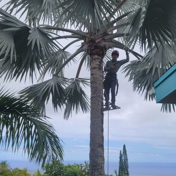 ONE TWO TREE CARE - Updated July 2025 - 18 Photos - Kailua-Kona, Hawaii ...