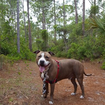 HALPATIOKEE REGIONAL PARK - Updated August 2025 - 85 Photos & 26 ...