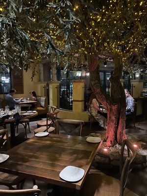 BELLA NOTTE - 480 Photos & 509 Reviews - 3715 Nicholasville Rd ...