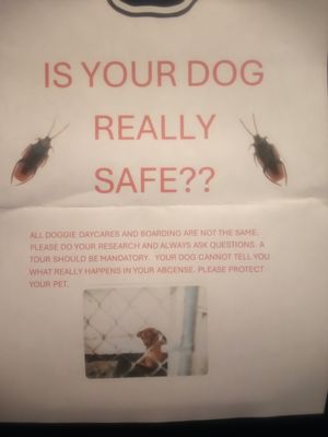 FOUR PAWS ONLY - Updated December 2025 - 47 Photos & 49 Reviews - 2215 ...