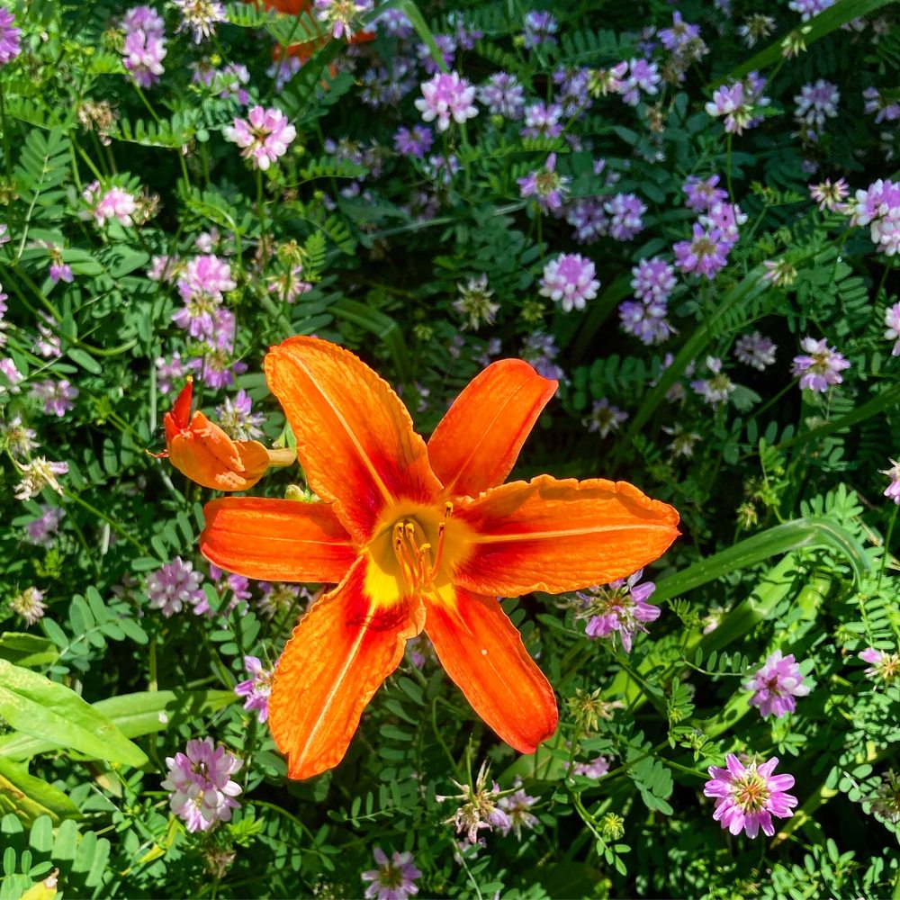 KNIGHT POINT STATE PARK - 12 Photos - 44 Knights Point Rd, North Hero ...