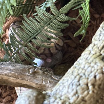 EAST BAY VIVARIUM - Updated January 2026 - 726 Photos & 619 Real ...