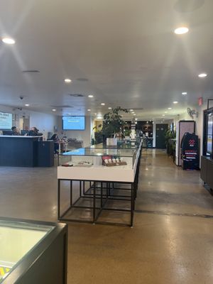 SOL FLOWER WELLNESS CENTER - Updated December 2024 - 68 Photos & 118 ...