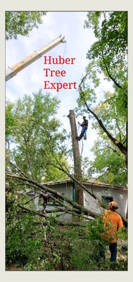 HUBER TREE EXPERT - Updated December 2025 - 114 Photos & 33 Reviews ...