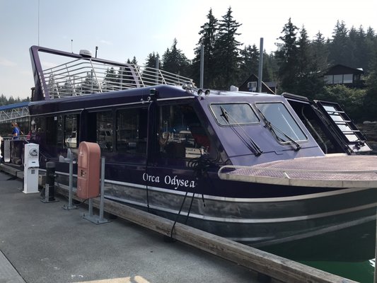 DOLPHIN JET BOAT TOURS - 40 Photos & 75 Reviews - 11547 Glacier Hwy ...