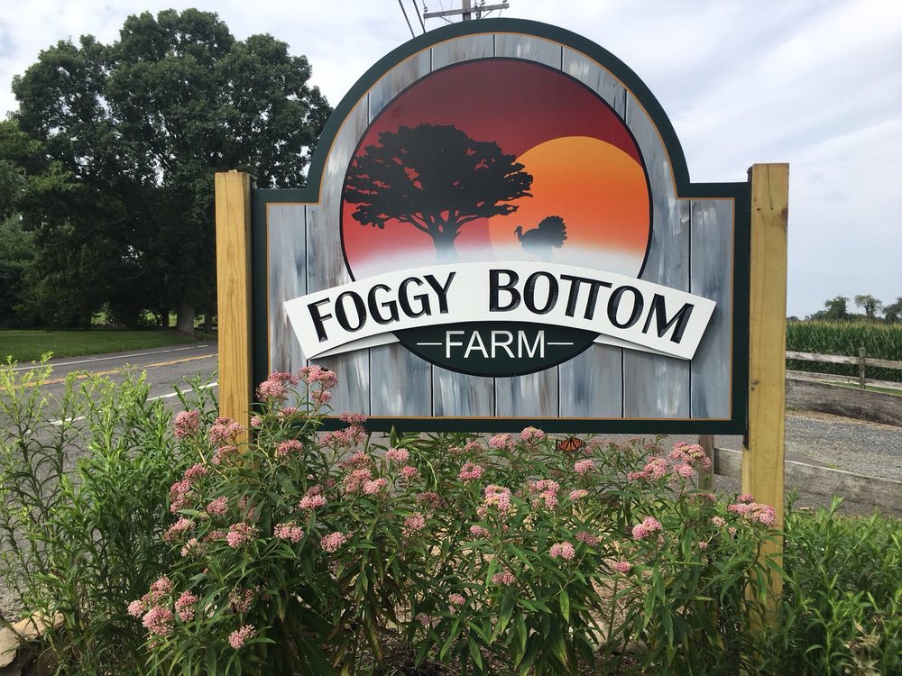 FOGGY BOTTOM FARMS - Updated December 2024 - 26815 Mt Pleasant Rd ...