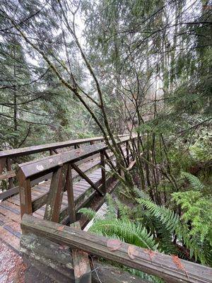 KANAKA CREEK REGIONAL PARK - 35 Photos - 23272 River Rd, Maple Ridge ...
