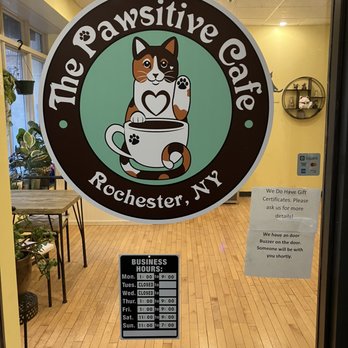 THE PAWSITIVE CAFE - Updated December 2025 - 35 Photos & 12 Reviews ...