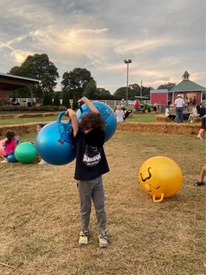 DENVER DOWNS FARM - Updated July 2025 - 60 Photos & 23 Reviews - 4915 ...