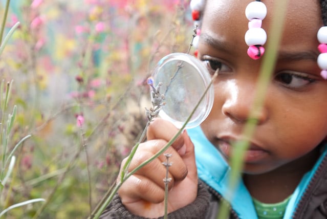 SHADY LANE SCHOOL - Updated December 2025 - 100 N Braddock Ave ...