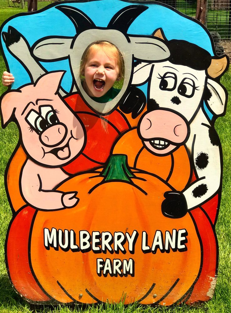 Mulberry Lane Farm, Hilbert | Roadtrippers