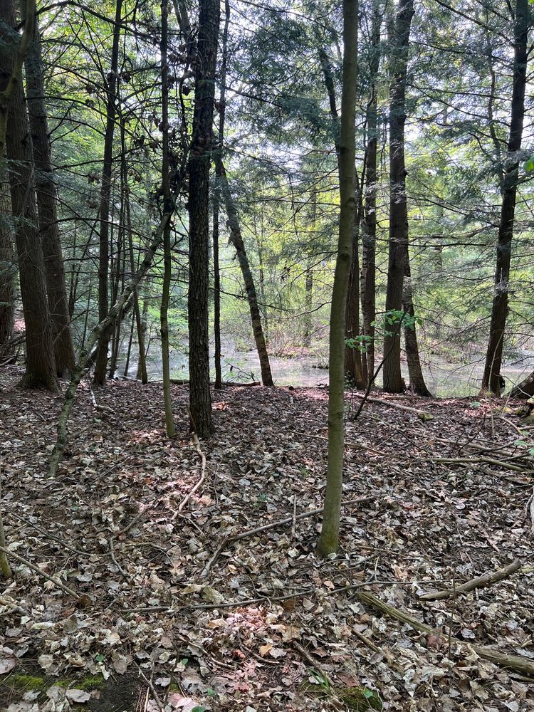 LITTLE TRACT HIKING TRAIL - Updated October 2025 - 6746 Concession Rd 4 ...
