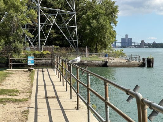 DELRAY PARK - Updated June 2025 - 16 Photos - 420 Leigh St, Detroit ...