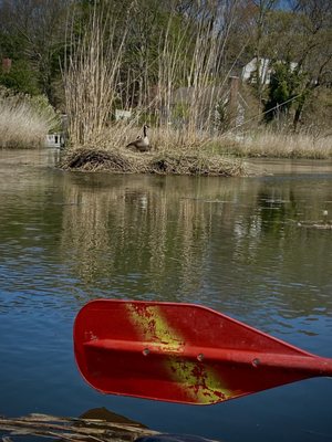 NISSEQUOGUE RIVER CANOE & KAYAK RENTALS - Updated April 2025 - 77 ...