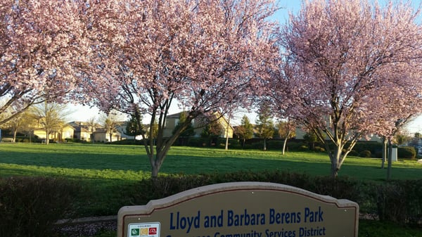 LLOYD AND BARBARA BERENS PARK - Updated September 2024 - Mosher Rd ...