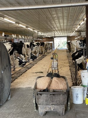 SMILING HILL FARM - Updated December 2025 - 184 Photos & 70 Reviews ...