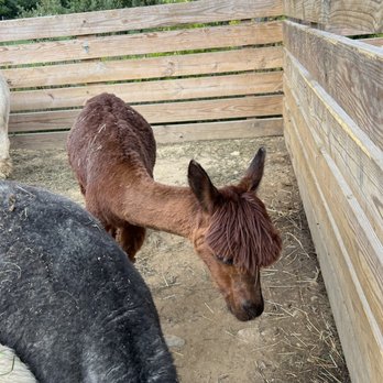 APPLE RIDGE ORCHARDS - Updated September 2025 - 236 Photos & 105 ...