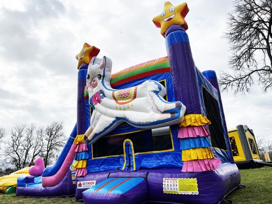 SKY HIGH PARTY RENTALS - Updated December 2025 - 224 Photos & 163 ...