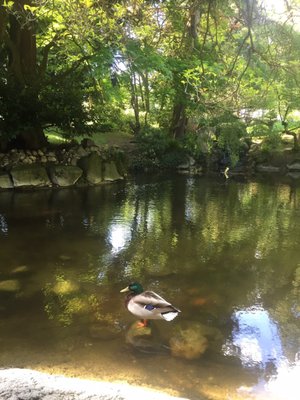 TIPPERARY PARK - 4th & Royal Avenue, New Westminster, British Columbia ...