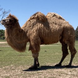 THE 10 BEST Things to Do in Moscow, TX - 2024 - Yelp