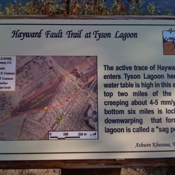 TULE PONDS AT TYSON LAGOON WETLAND CENTER - Updated October 2025 - 29 ...