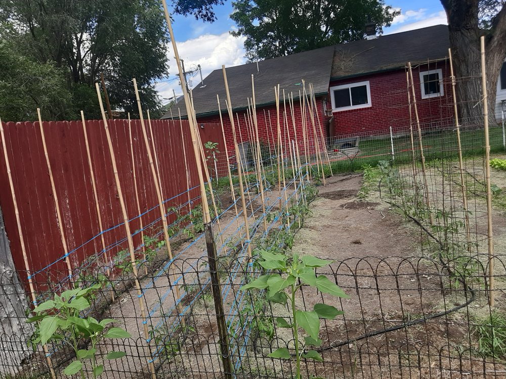 THE ROSE HOUSE PAONIA - 104 2nd St, Paonia, Colorado - Nurseries ...