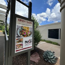 MOLE - Updated September 2025 - 938 Photos & 700 Reviews - 725 AZ-179 ...