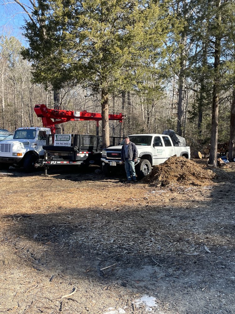 EXECUTIVE TREE SERVICE - Updated August 2025 - Request a Quote - 11 ...