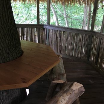 TREEHOUSE WORLD - Updated September 2024 - 106 Photos & 44 Reviews ...