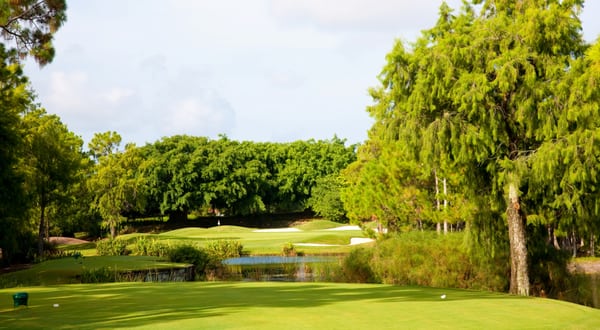 GREY OAKS COUNTRY CLUB - 17 Photos - Golf - 2400 Grey Oaks Dr N, Naples ...